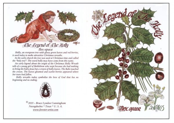 CARDSX-LegendHollyWITHborder-1024x723